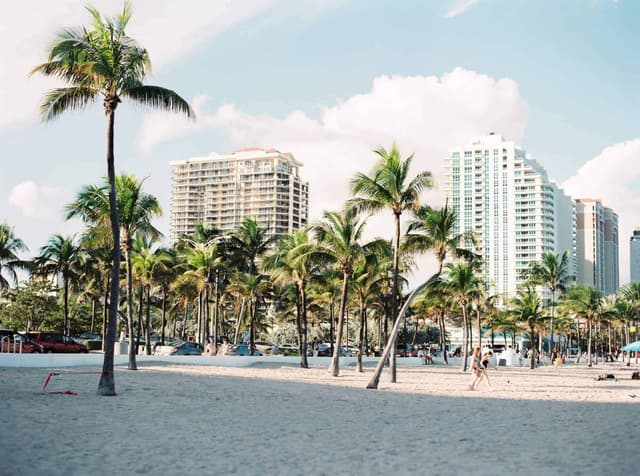 Real Data - How Much Do Movers Cost in Miami, FL?